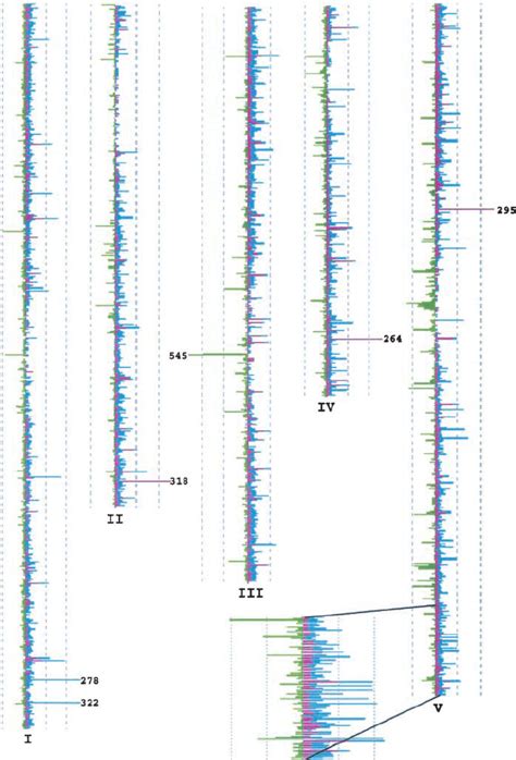 Chromosomal Distribution Of Predicted Insertions Download Scientific