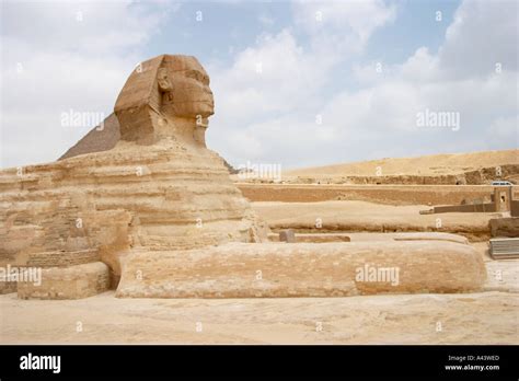 The Sphinx Cairo Egypt Stock Photo Alamy