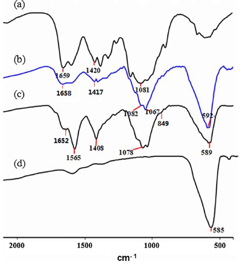 ftir spectra of a cs b mnps cs c mnps cs hep and d mnps download