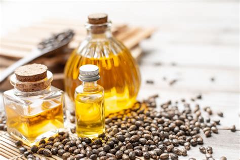 Como Aplicar óleo De Rícino No Cabelo Guia Completo Dicas De Beleza