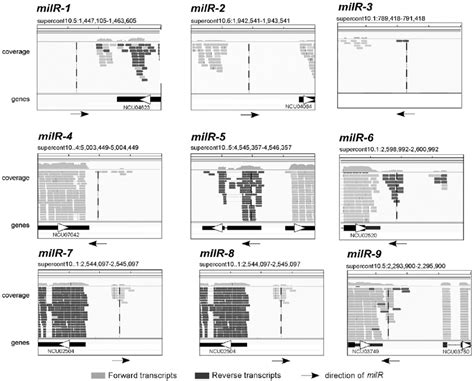 RNA Sequencing Of Poly A RNA Results Showing The Presence Absence Of Download Scientific