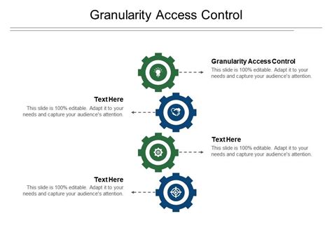 Granularity Access Control Ppt Powerpoint Presentation Pictures Visuals Cpb Presentation