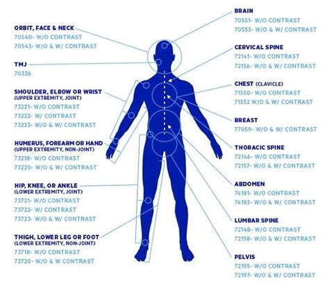 What Is A Cpt Code Cpt Codes Diagnostic Imaging Medical Coding