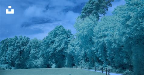 무성한 녹색 들판에 서 있는 한 무리의 사람들 사진 Unsplash의 무료 파랑 이미지