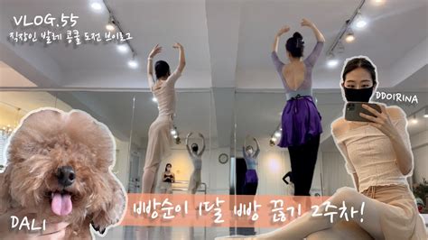 발레 다이어트 100일 프로젝트 Vlog Day8 Day14 금빵 2주차 콩쿨 새 작품 공개 피그인더가든 건강식 샐러드 독서 강아지 푸들