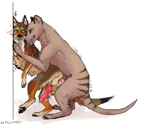 Rule 34 Absurd Res Anal Anal Sex Animal Genitalia Animal Penis Balls