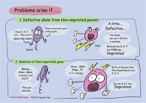 Genomic Imprinting Epigenetic Regulation Creative Med Doses