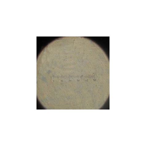 Microscope Kit Eyepiece Graticule Measuring Glass Philippines Ubuy