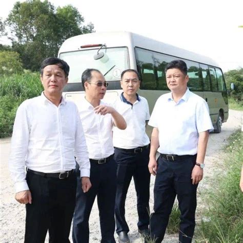 【微报】肖勇科带队调研生态环境保护工作 坚定走好生态优先绿色发展之路整改
