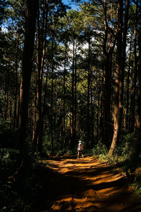 The So Project The So Project Added A New Photo — In