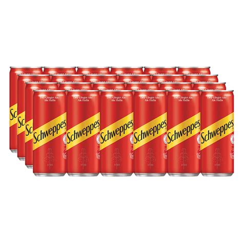 Schweppes Carbonated Can Drink Dry Ginger Ale X Ml