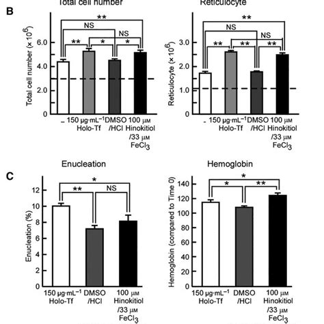 Holo‐tf Stimulates Enucleation And Hemoglobin Synthesis In Mouse Download Scientific Diagram