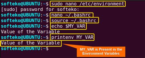 The Environment In Linux An Ultimate Guide