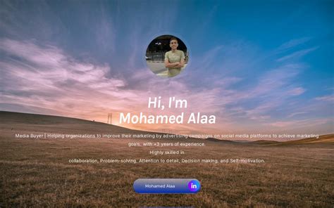 Mohamed Alaa A Media Buyer