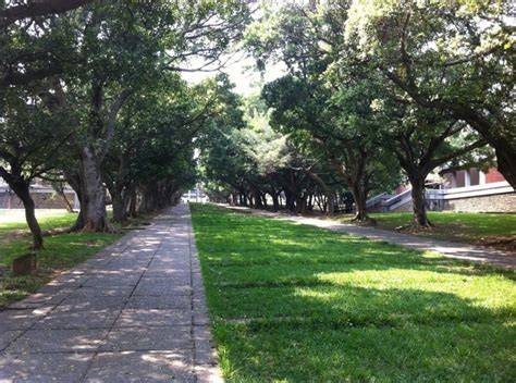 Its At Tunghai University