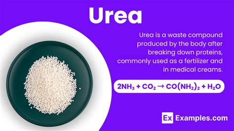 Urea CH₄N₂O Definition Structure Preparation Properties Uses Side Effects