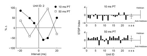 hebbian or anti hebbian timing rules can be induced in the same units