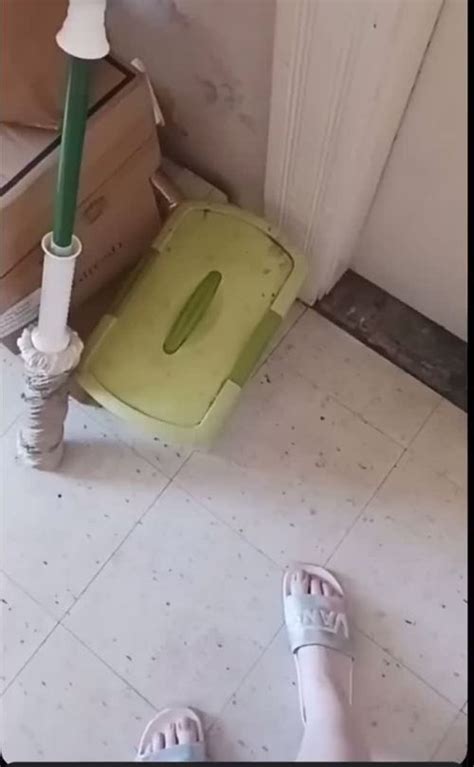 Post [730279277633912832] All Hail The Gitrog Tumbex