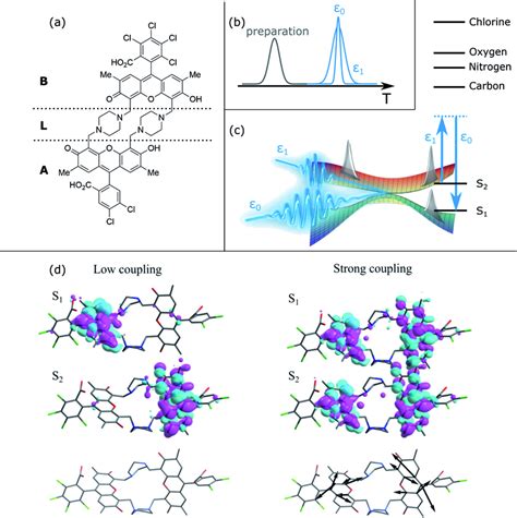 X Ray Stimulated Raman Spectroscopy Of A Heterodimer To Monitor Download Scientific Diagram