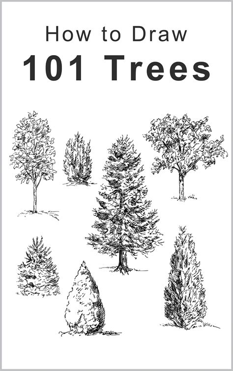 Cool Tree Drawings