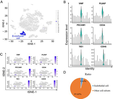 Figure 1 From Single Cell Transcriptomics Of Endothelial Cells In Upper And Lower Human