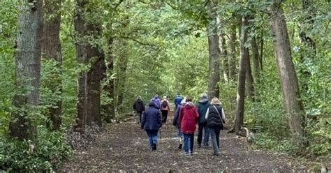 Eltham Park Health Walk