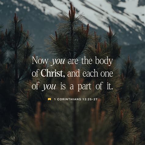 1 Corinthians 1212 25 27 Nlt The Human Body Has Many Parts But