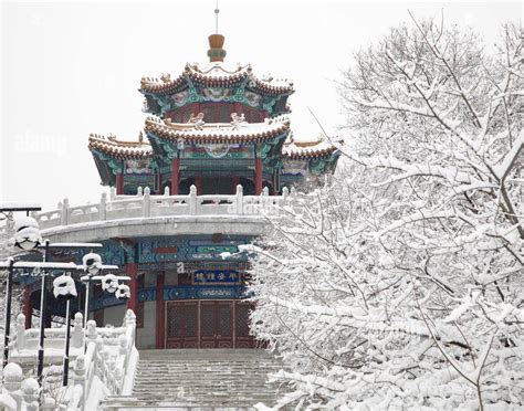 縱橫遊WWPKG 8天 東北雪趣 長白山賞雪哈爾濱吉林長春瀋陽大連第26屆冰雪大世界白雪無瑕知北村淨月潭滑雪場玩雪