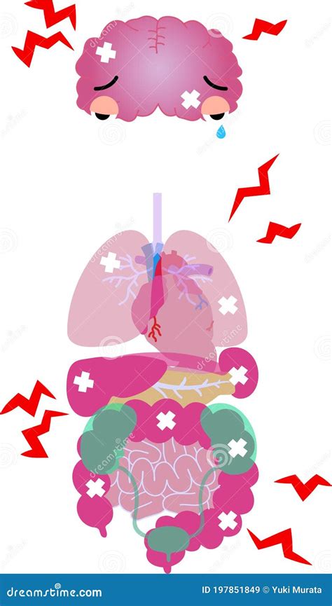 Illustration Of Cute Human Organs Stock Vector Illustration Of Care