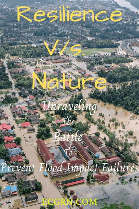 Resilience V S Nature EcoGreen Solutions LLC