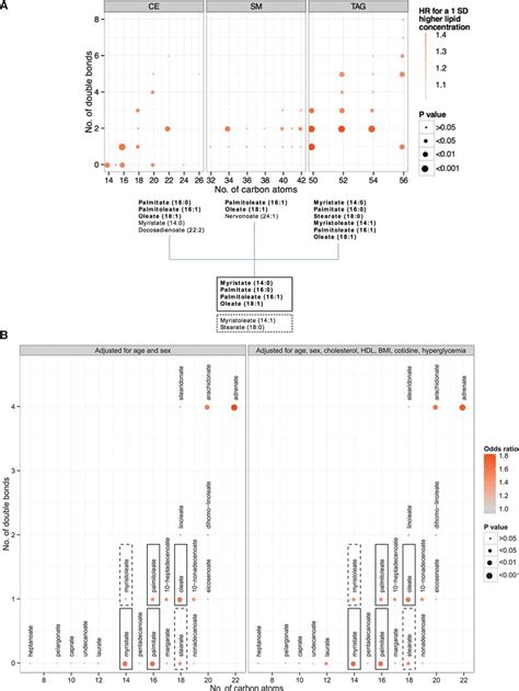 Lipidomics Profiling And Risk Of Cardiovascular Disease In The Prospective Population Based