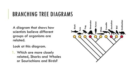 Ppt Evolution Powerpoint Presentation Free Download Id2576839