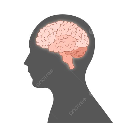 Side Profile Brain Silhouette Silhouette Brain Side Profile PNG Transparent Clipart Image And