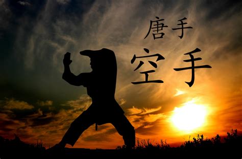 Shotokan Karate Do Wallpaper