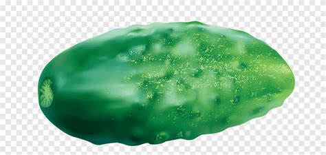 절인 오이 멜론 녹색 오이 잎 영양 Png Pngegg