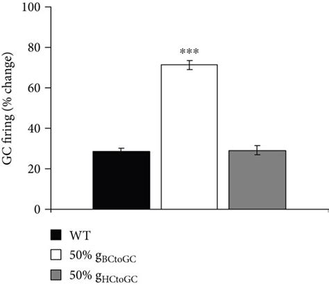 Biologically Detailed Network Modelling Predicted That Reduced Download Scientific Diagram