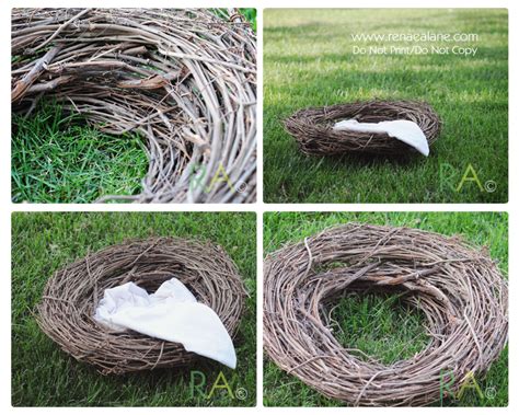 renae alane photo do it yourself photography prop nest