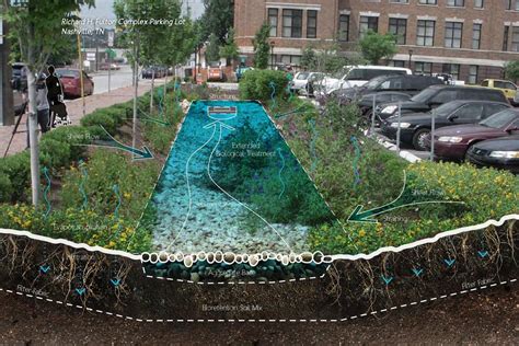 Low Impact Development Artofit