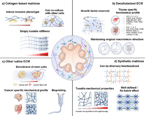 Extracellular Matrix Ecm Models For Engineering Tumor Organoids Download Scientific Diagram
