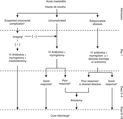 Mastoiditis In Adults Treatment