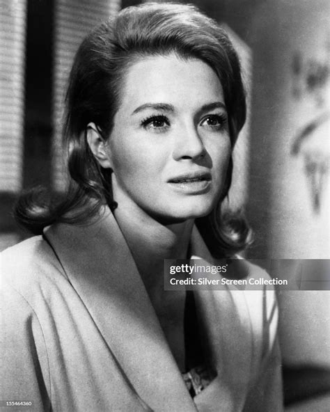 American Actress Angie Dickinson Circa 1960 News Photo Getty Images