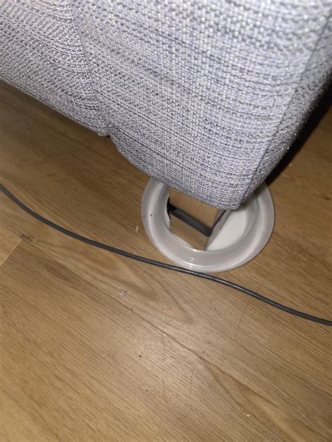 Bed Bug Or Something Else R Whatsthisbug