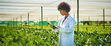 The State Of Play In Sustainable Agriculture L E K Consulting
