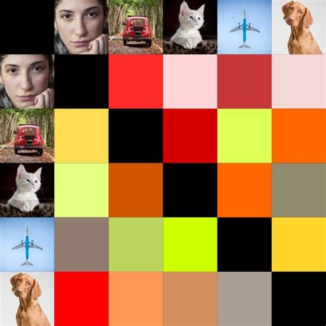 The Experimental Workfolw Encoding Models And Representational Download Scientific Diagram