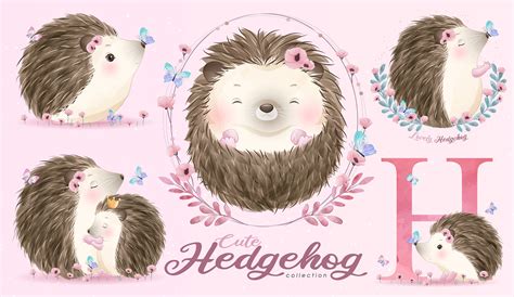 Cute Hedgehog Clipart Set With Watercolor Illustration Etsy