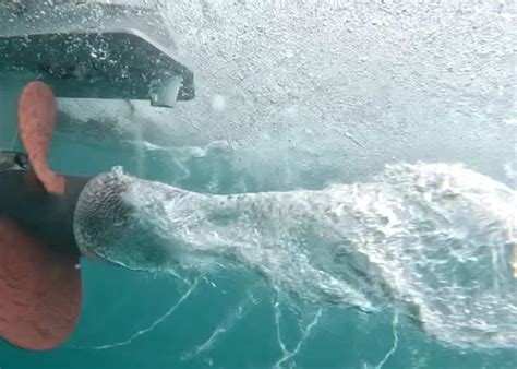 Underwater Radiated Noise From Small Vessels Faculty Of Engineering