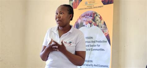 Farmers Get Training On Tomato To Increase Production