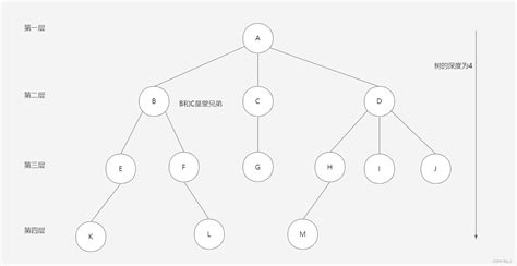 51 数据结构——树的定义及基本术语数据结构树的基本术语 Csdn博客