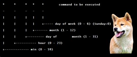 Crontab Time To Run Utility