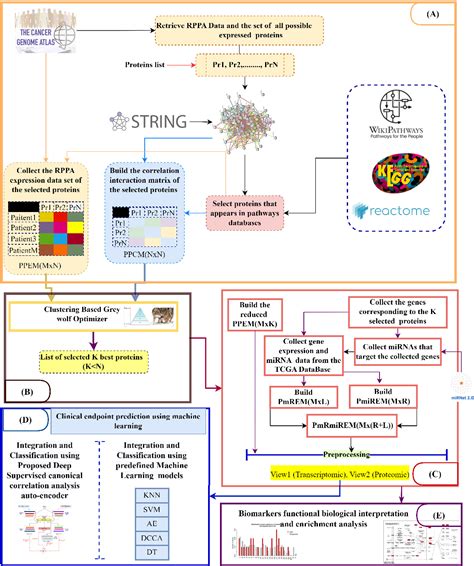 Figure 1 From Efficient Bioinspired Feature Selection And Machine